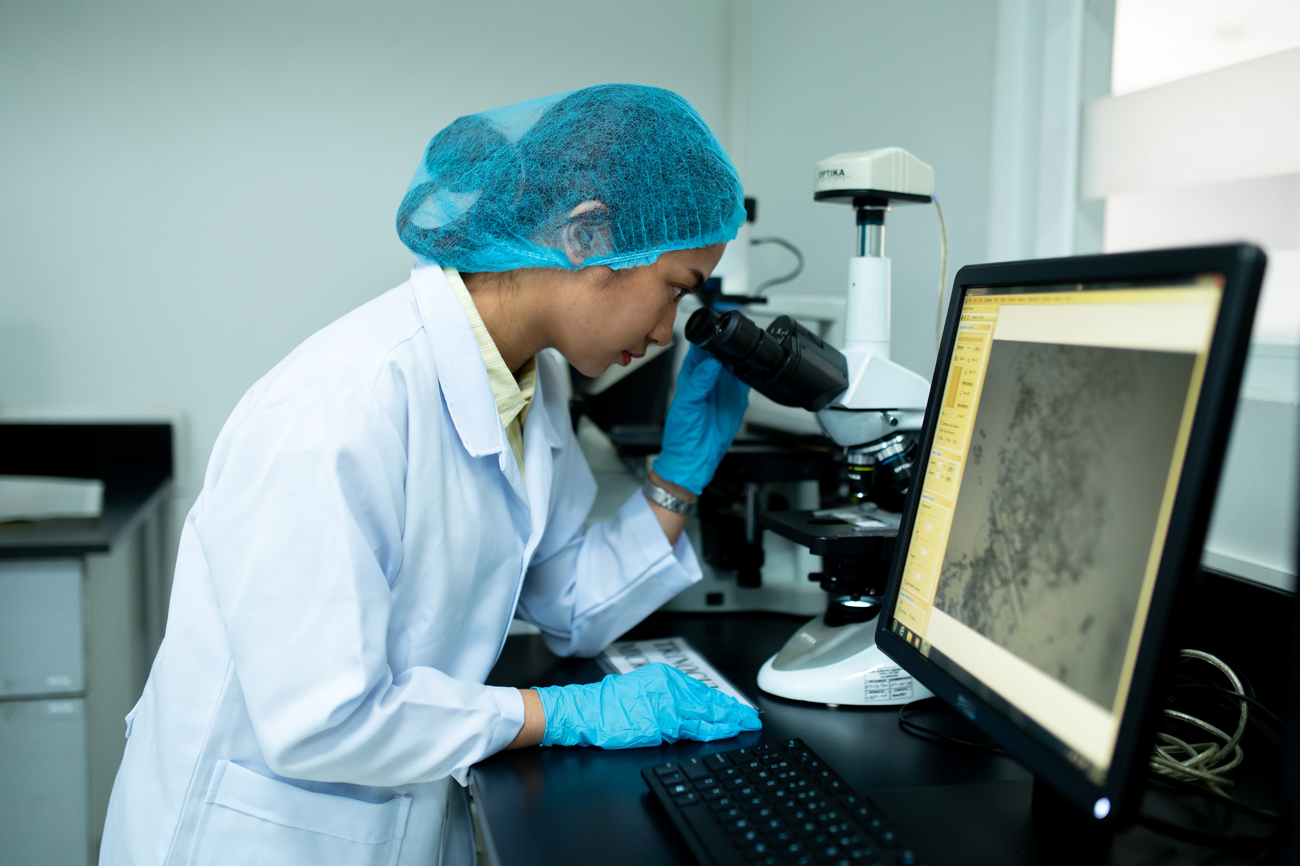 School of Chemical, Biological, and Materials Engineering and Sciences